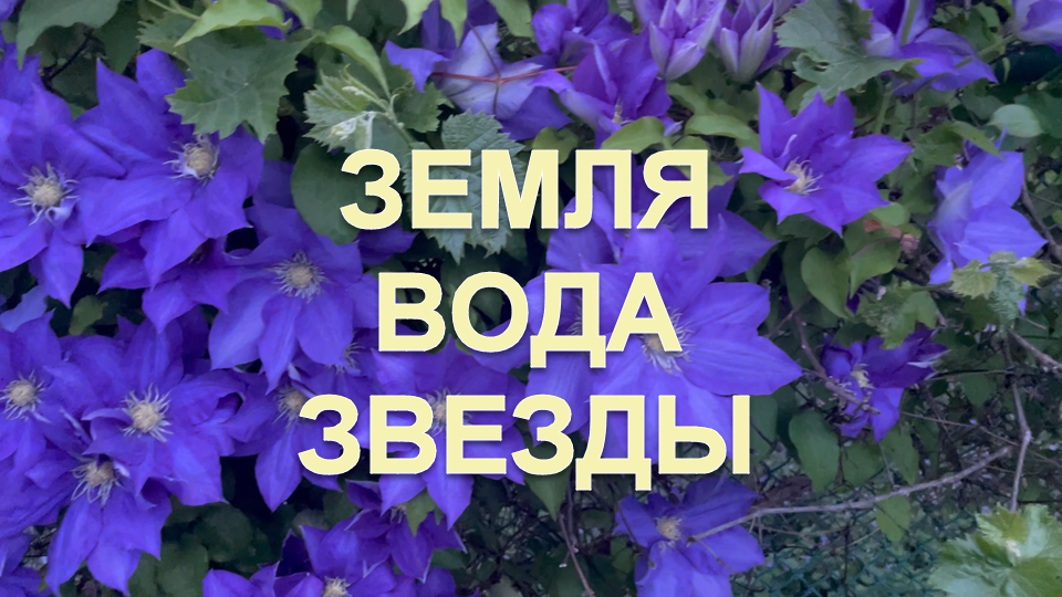 Практики с землей, водой, и звездным небом от Анастасии