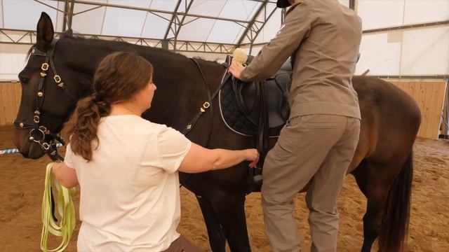 Конные прогулки в Великом Новгороде. Выпуск №5. #ДРУГОЙ_ТУРИЗМ