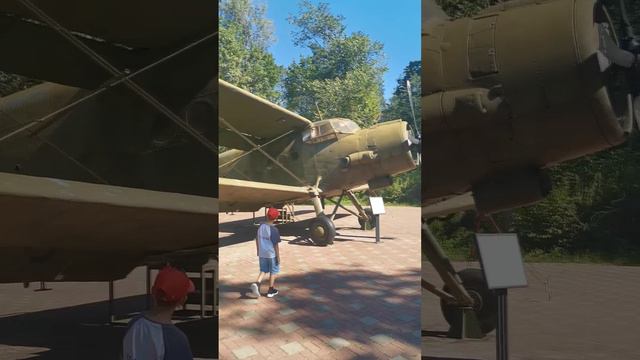 МОЙ БРЯНСК | ПАРТИЗАНСКАЯ ПОЛЯНА