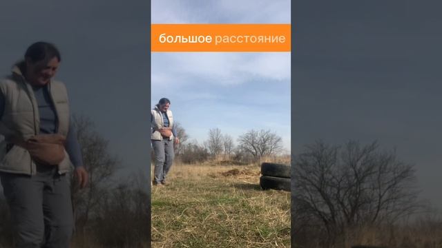 Что делать, если собака знает, но не выполняет команду