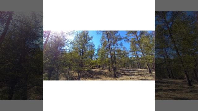 Кому принадлежал семигранный летник.mp4