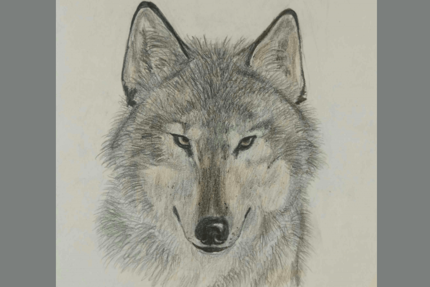 Детские рисунки карандашами и акварелью. Волки