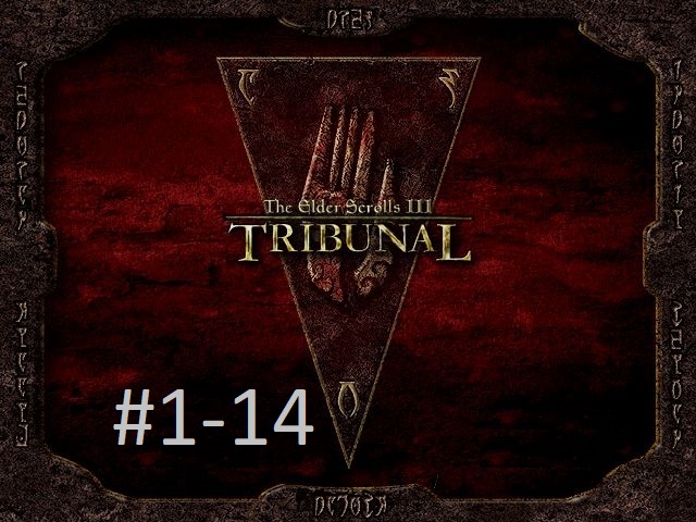 TESIII Tribunal #1-14 Идиот.mp4