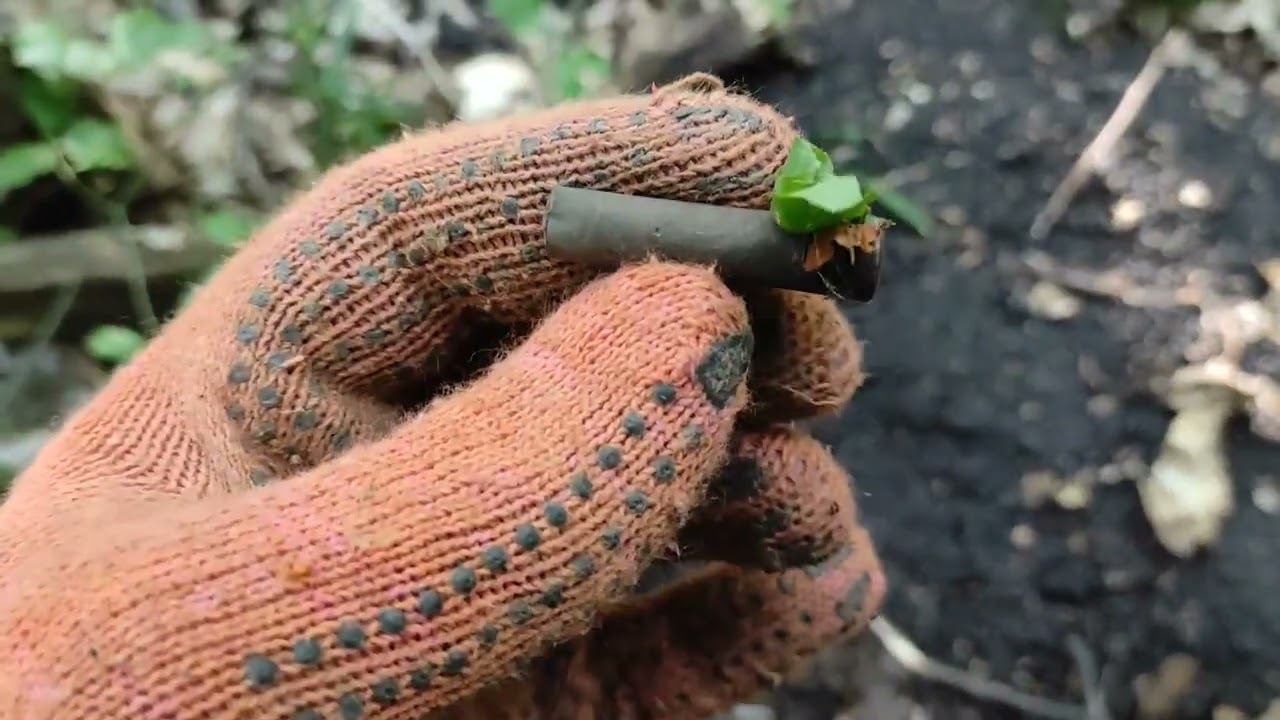 5 сентября 2023 г.