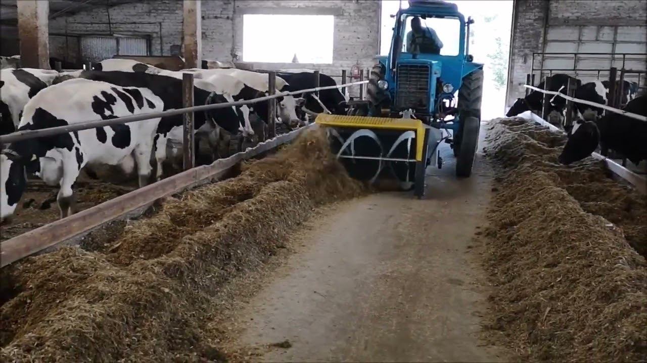 Подталкиватель-ворошитель корма БЛ-800 (на КУН, погрузчик)