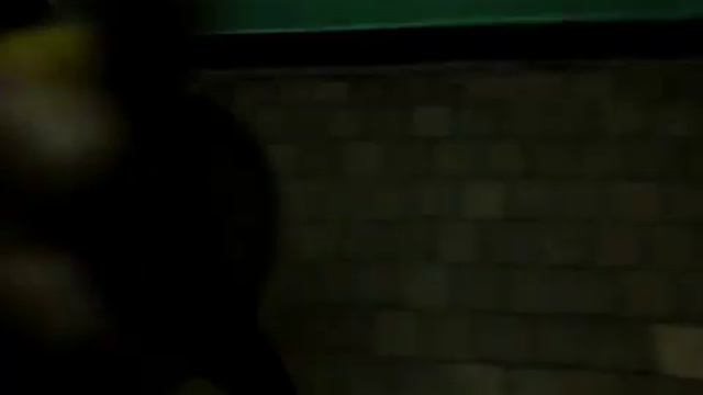 Сериал ИМРК 83 — Прогулки с собаками с Иваном Краснояровым