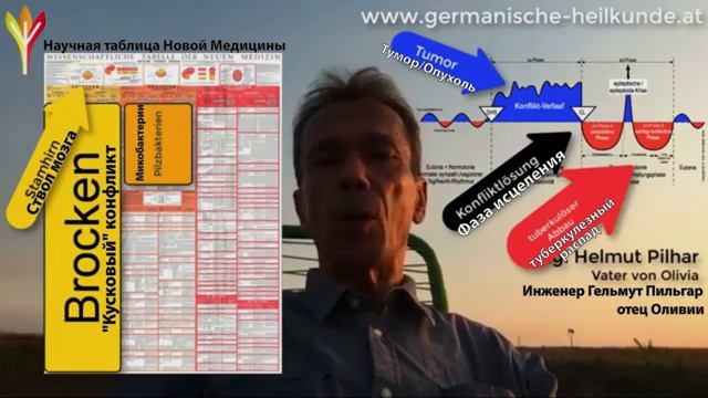 Как устроена пандемия.mp4