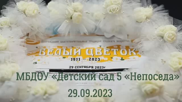 Белый цветок-2023 п. Красногвардейское