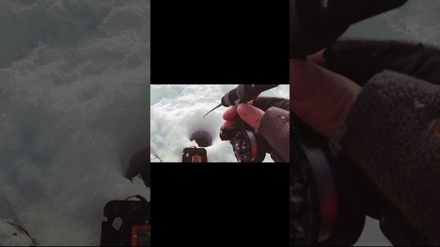 МОЩНАЯ ПОКЛЕВКА#shorts