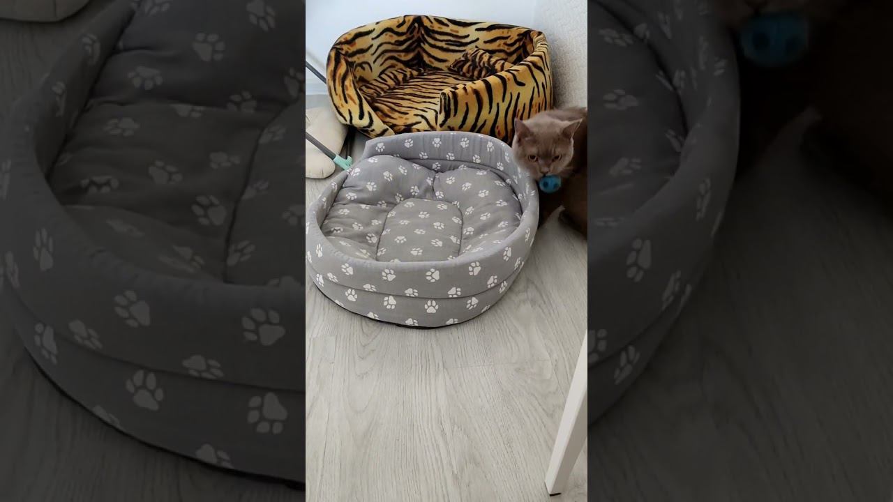 5:50 утра..Симон уже на движе