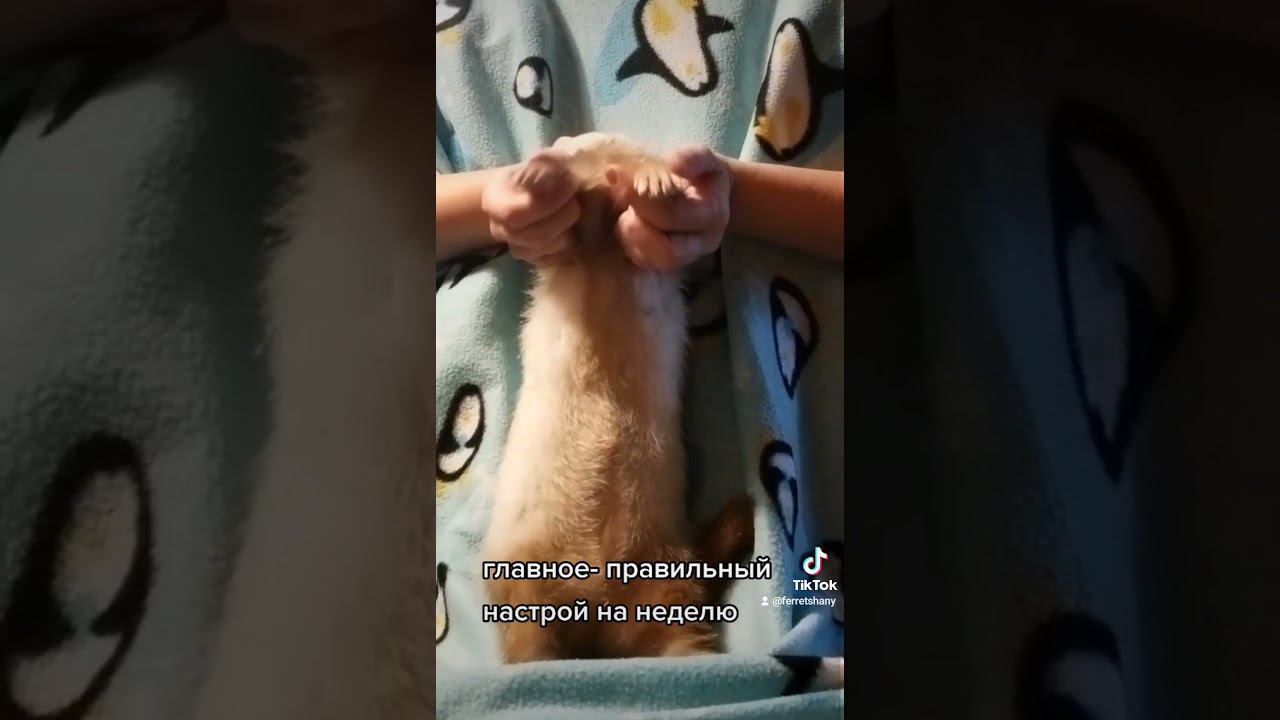 Настройся на рабочую неделю