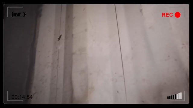 015. «ДОМ  И  HOSTEL» Дом из морских контейнеров, исправление ошибок. 24.12 мин.