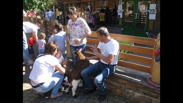 Кормление коз