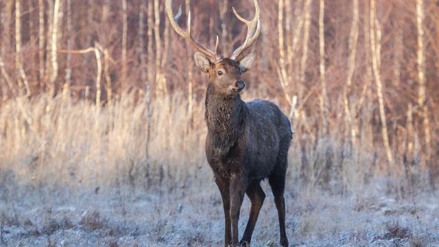 В гостях у Макса, Михаил Веревченко. Как сделать красивое пейзажное фото |16+