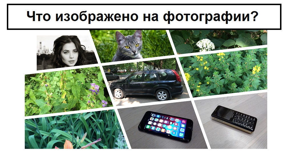 Как узнать, что изображено на фотографии - новый поиск яндекс с распознаванием по фото