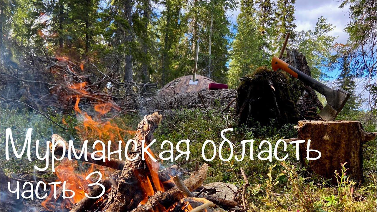 ТАЙГА за Полярным кругом. ПОХОД на Дикое Озеро и Сбор Грибов. Мурманская область ч. 3