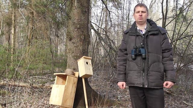 Покорми птиц