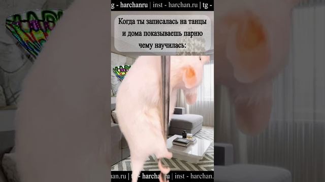 когда ты записалась на танцы