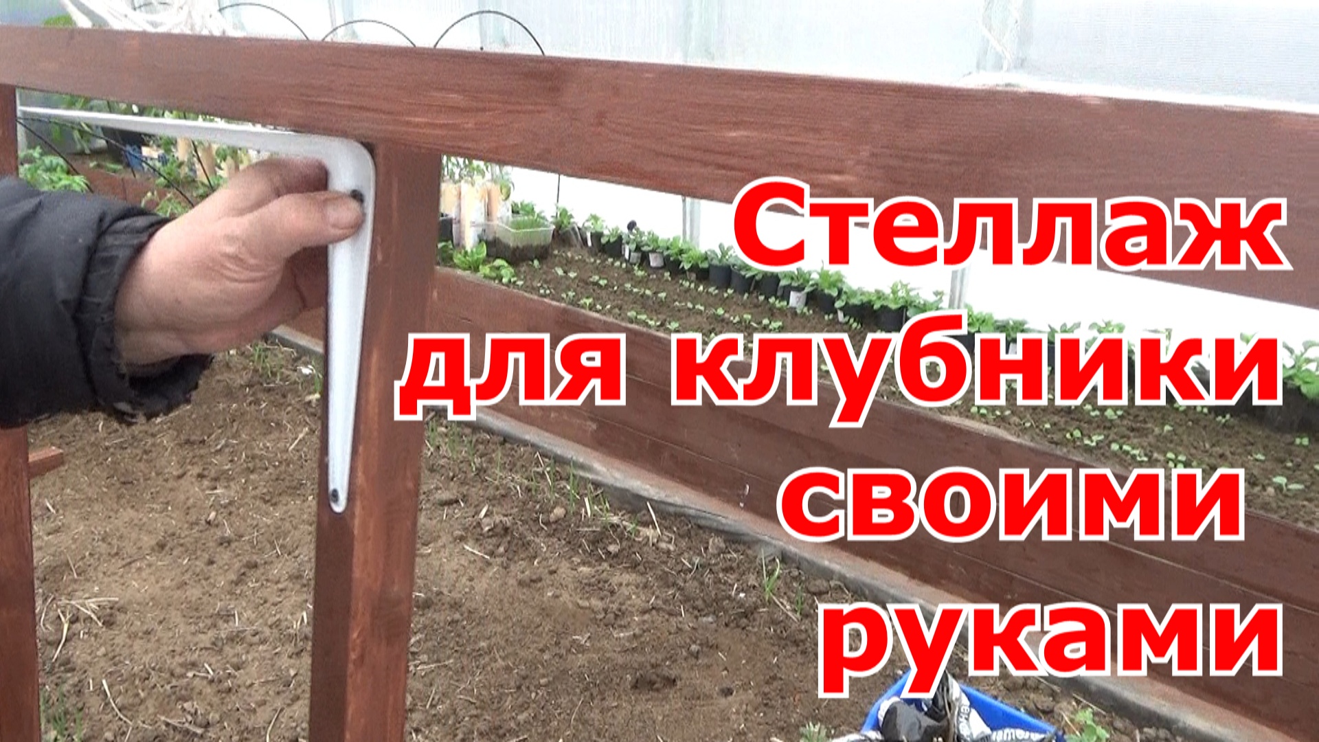 Стеллаж для клубники в поликарбонатную теплицу своими руками.