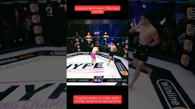 Шовхал vs Аловсет. Жесткая заруба #мма #бой #hardcore