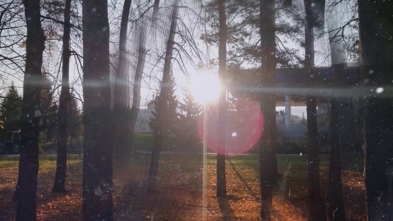 Проект ПроШоу Продюсер "Осенние зарисовки"