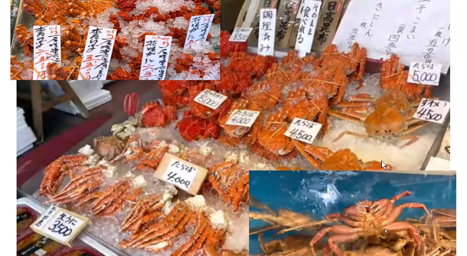 Рыбный рынок в Саппоро. Свежие крабы и другие морепродукты.