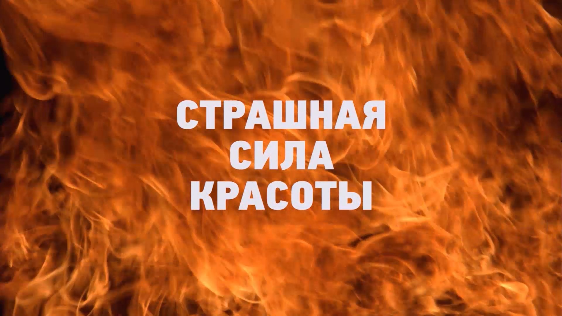 СТРАШНАЯ СИЛА КРАСОТЫ