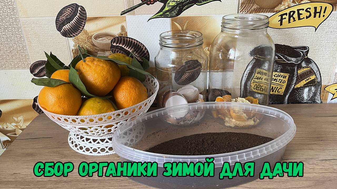 Сбор органики на даче