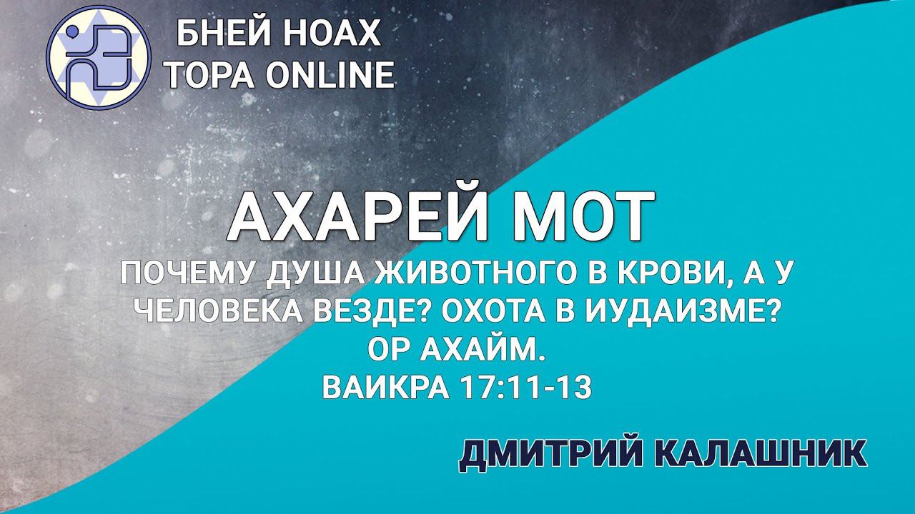 Почему душа животного в крови, а у человека везде? Охота в иудаизме? Ор аХайм. ВКРА 17:11-13 Ахарей