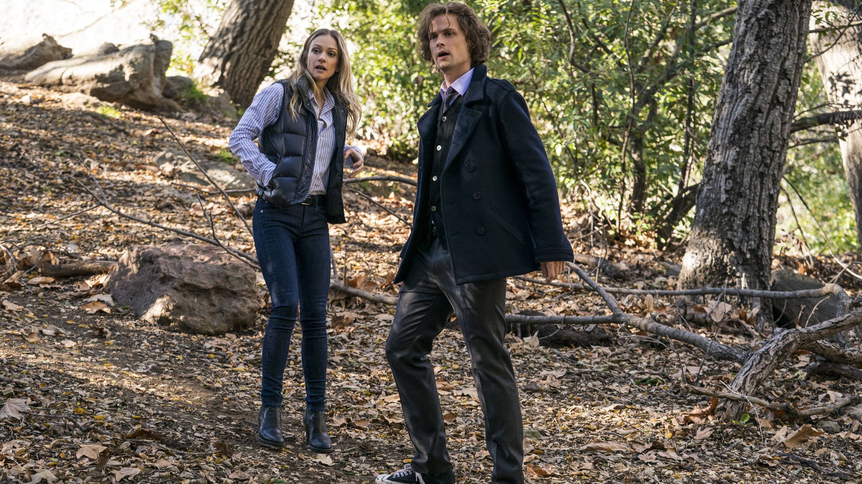 Мыслить как преступник - 10 сезон 20 серия / Criminal Minds