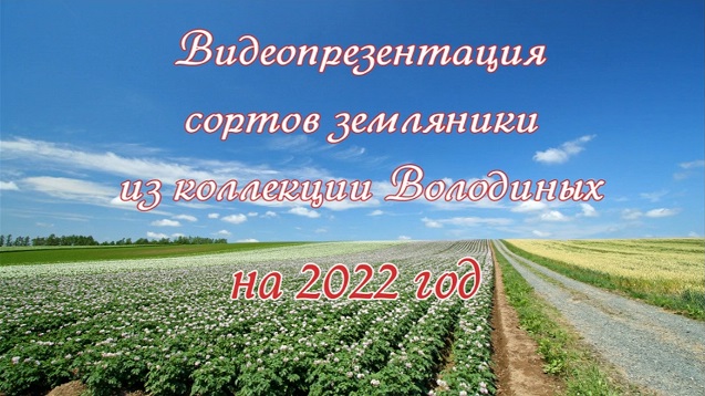 Видеопрезентация земляники на 2022 г.