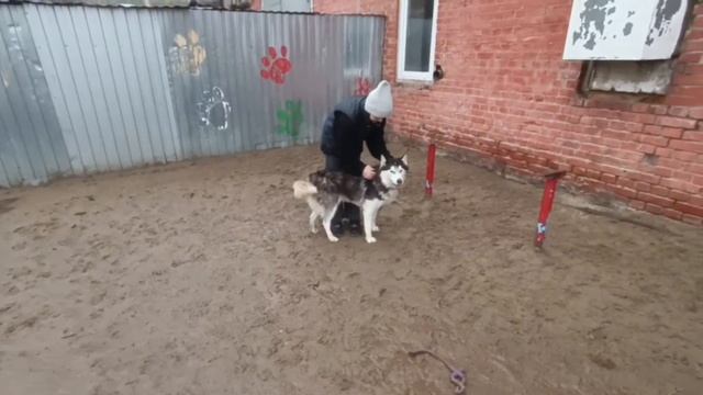 Много ли для счастья приютским надо В гостях школа №47