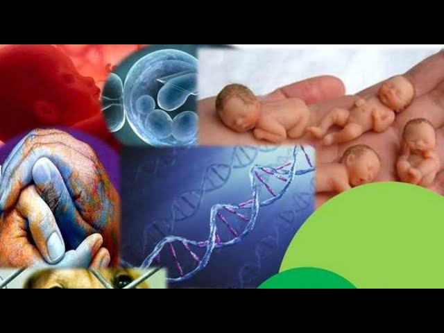 Вопросы биоэтики — Осипов А И