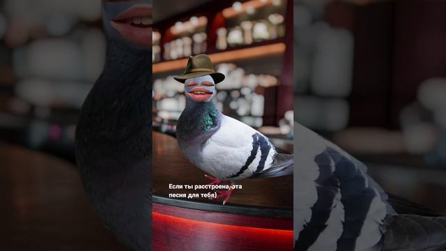 308661159_1422714154882496_6266242915624439052_n