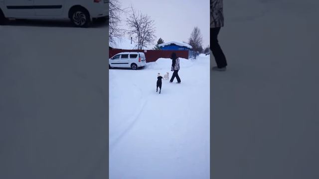 Прогулка с малышами.