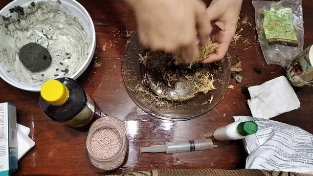 Вабикусы, корневая подкормка. Теория и практика.