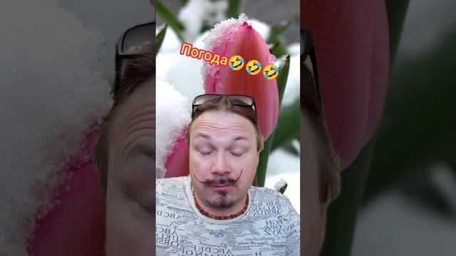 Погода шутит?