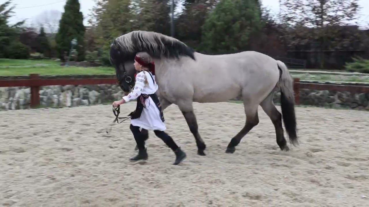 Благовест 2