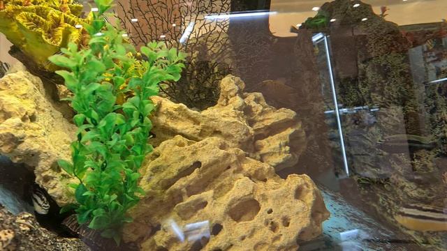 Аквариум в машине в торговом центре