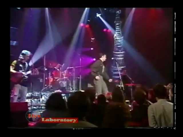 Телевизор   Сыт по горло