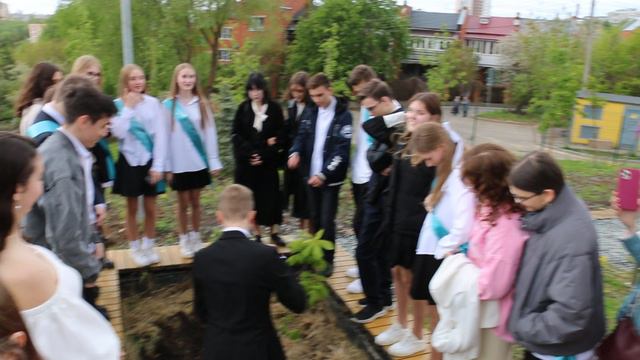 11 Еще каштан