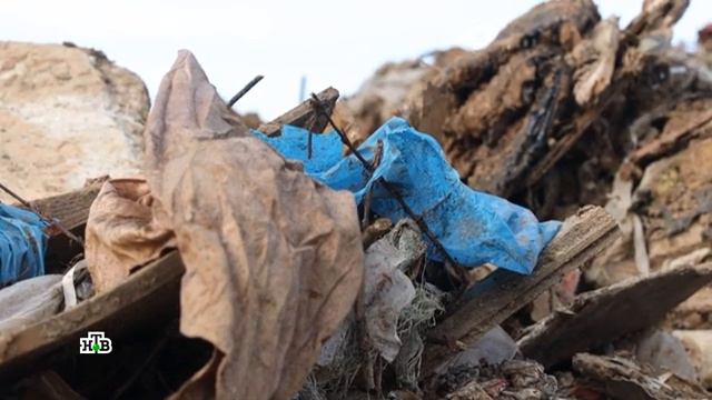 Мусор против человека