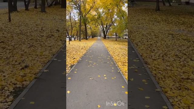 Золотая осень?