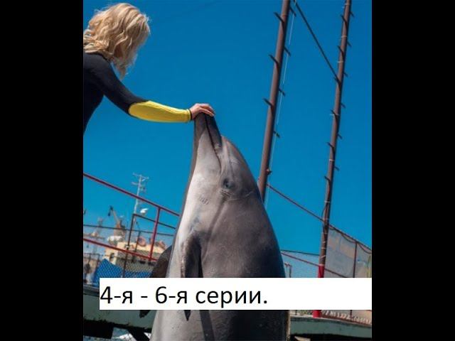 Сериал «Дельфин» 2 ой сезон 4 я   6 я серии  Анонс