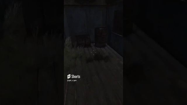 STALKER SHADOW OF CHERNOBYL Да нет тут аптечки