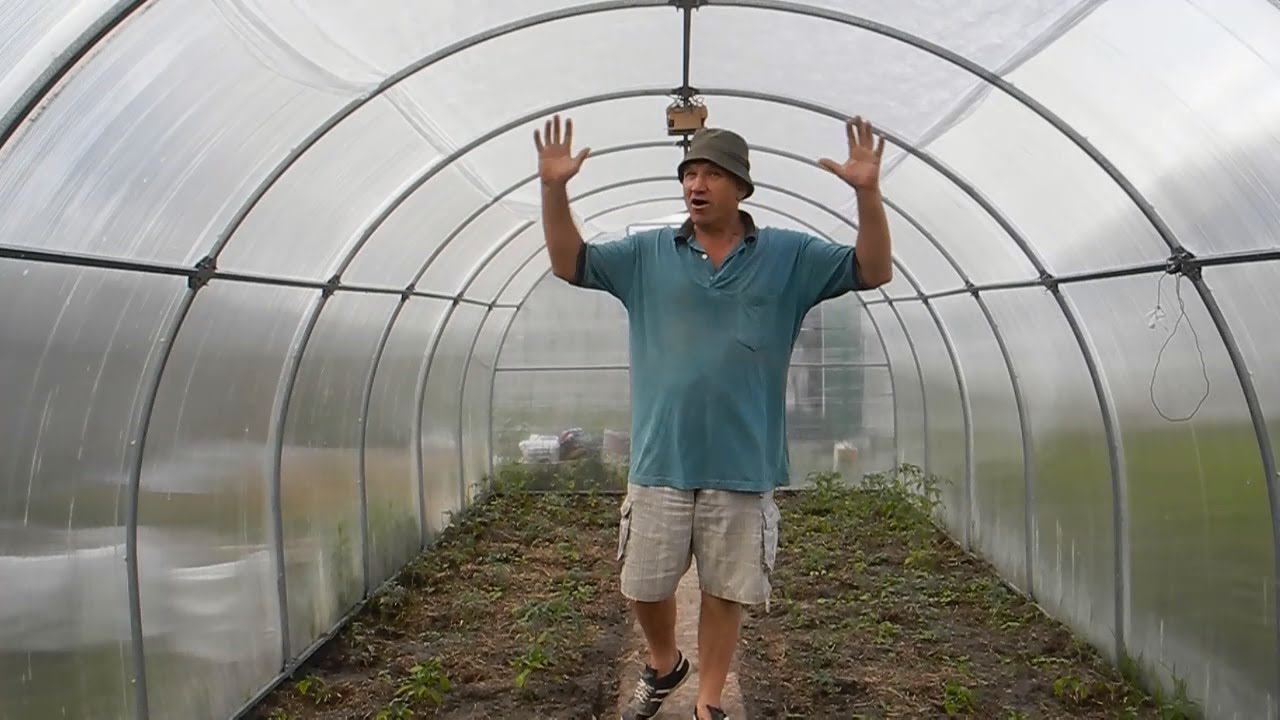 Классическая музыка для помидоров и перцев