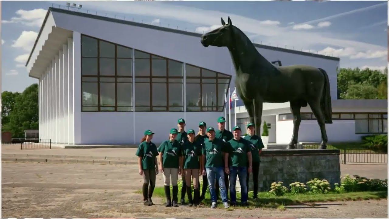 Чемпионат русских троек «Крылатое сердце России» 2022 г. Тройка КСК «Золотая подкова». Часть 3