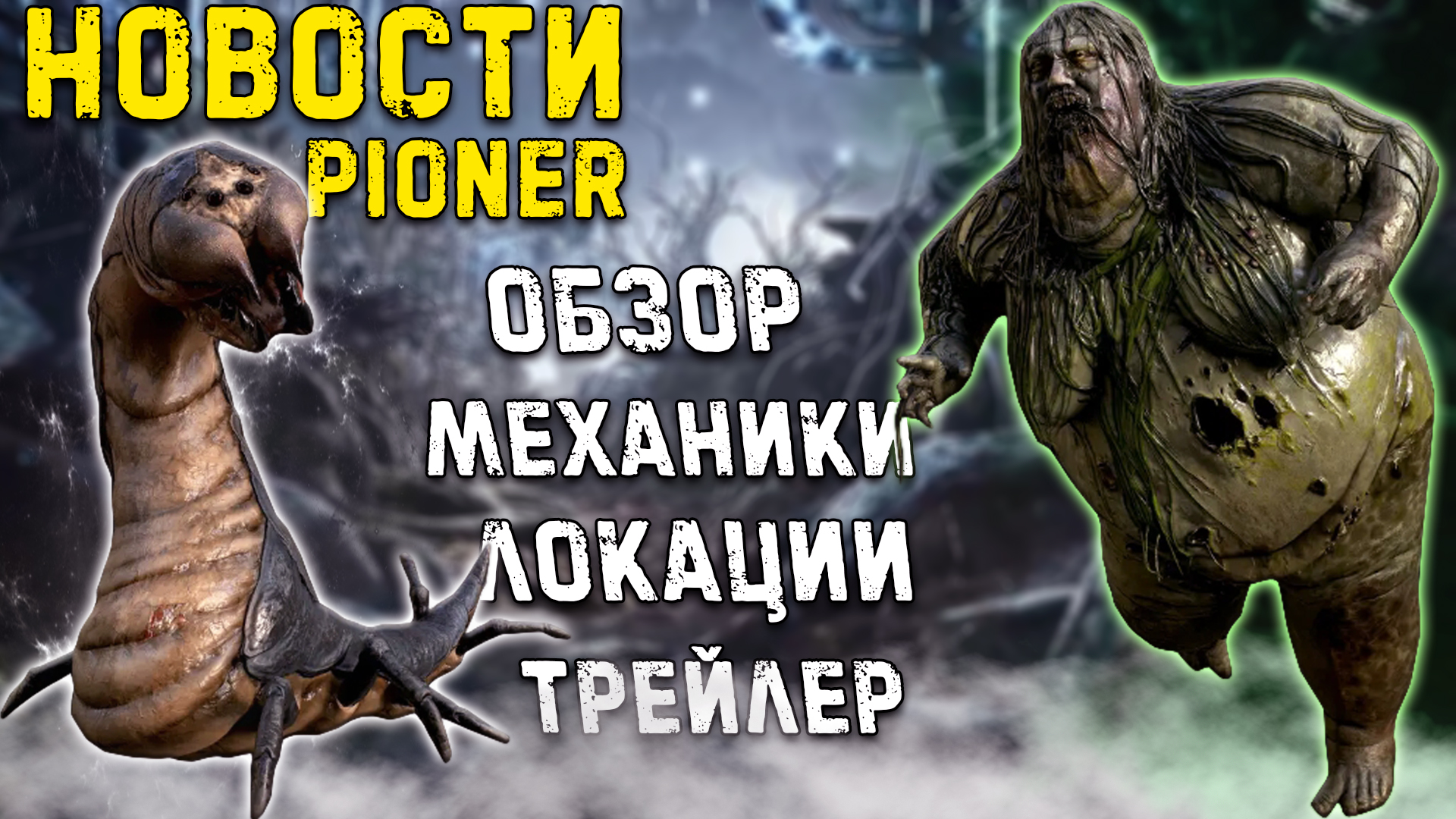 PIONER - ПОЛНЫЙ ОБЗОР ПОСЛЕДНИХ НОВОСТЕЙ