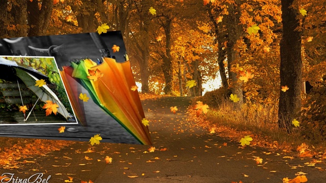 Золотая осень