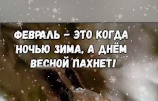 Доброго утра,хорошего февральского дня!